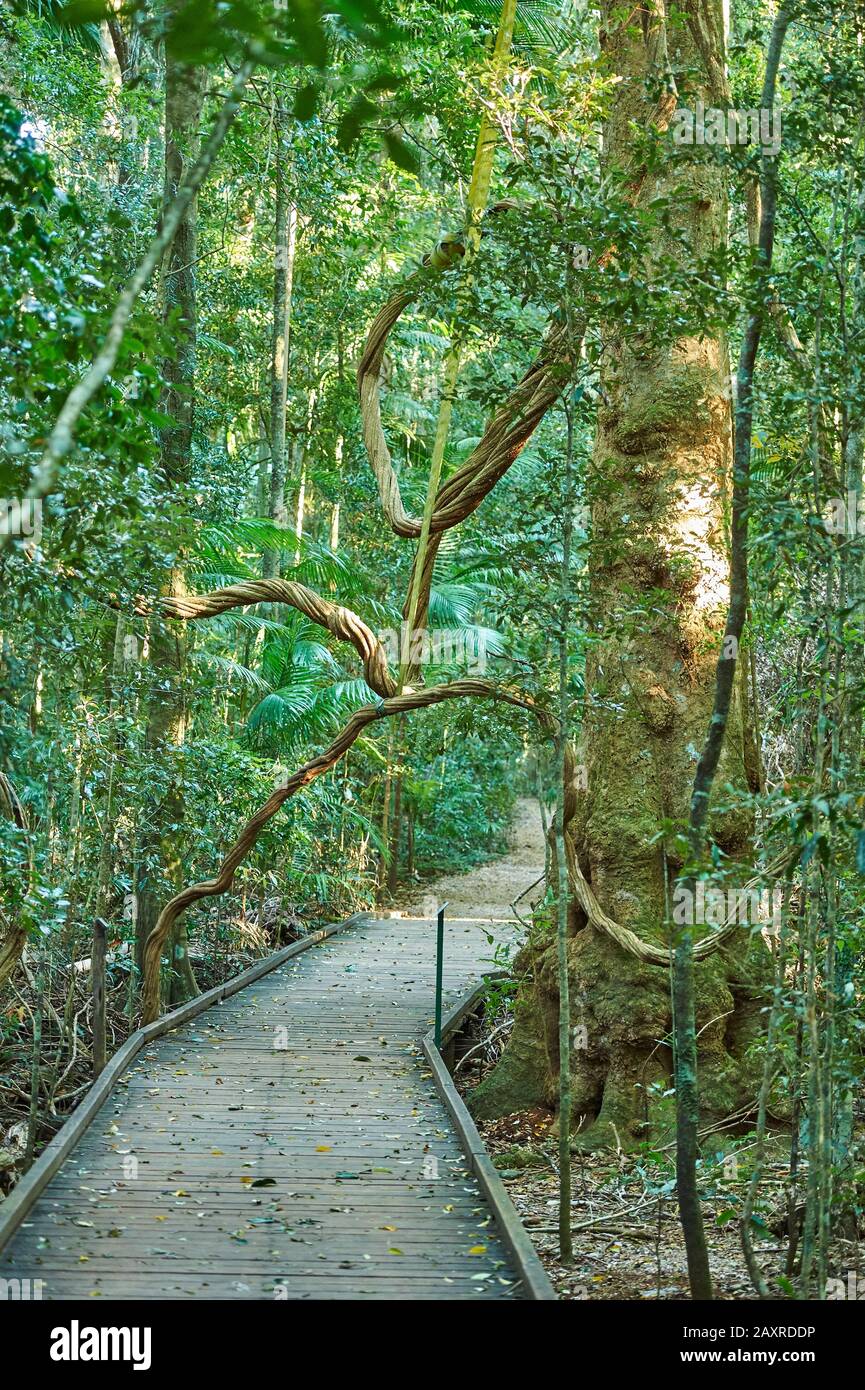 Lonesome national park queensland hi-res stock photography and images ...