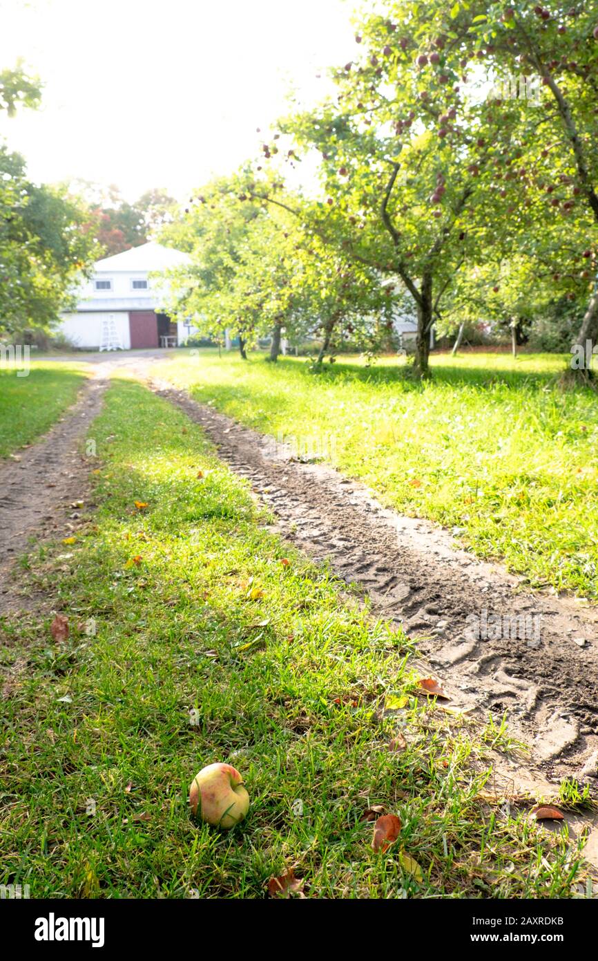 Apple house in Quebec City, Canada Stock Photo - Alamy