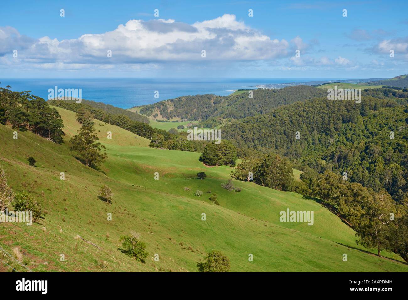 Landscape, Great Otway National Park, Victoria, Australia, Oceania ...