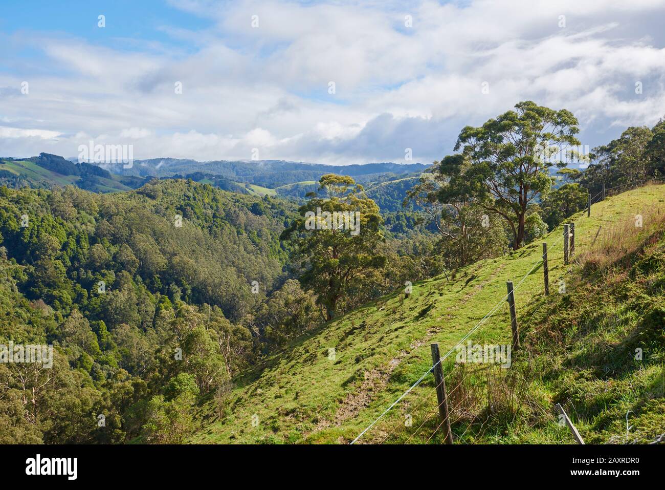 Landscape, Great Otway National Park, Victoria, Australia, Oceania ...