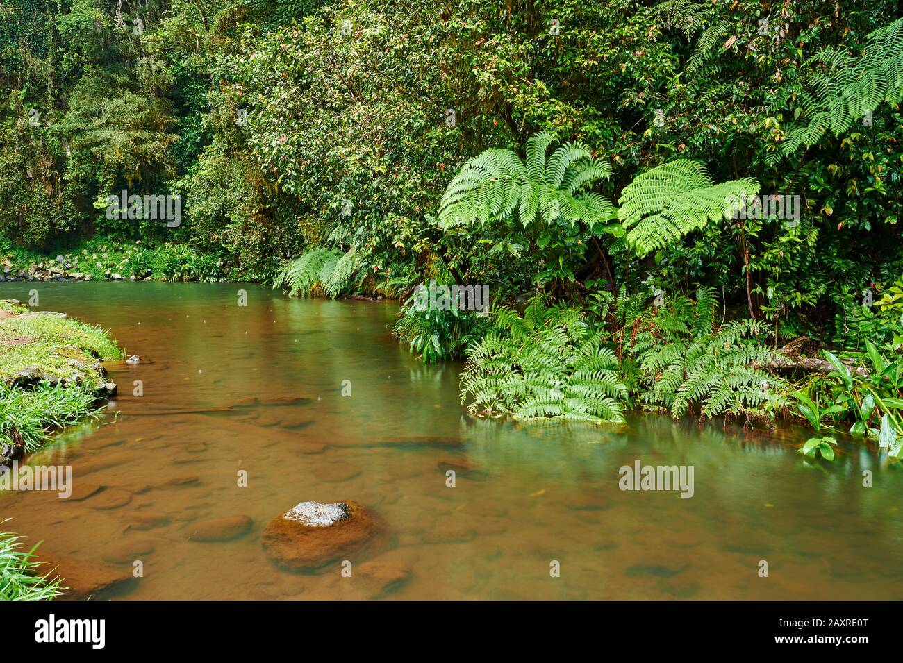 Landscape, Waterfall, Millaa Millaa Falls, Australian tree-fern ...
