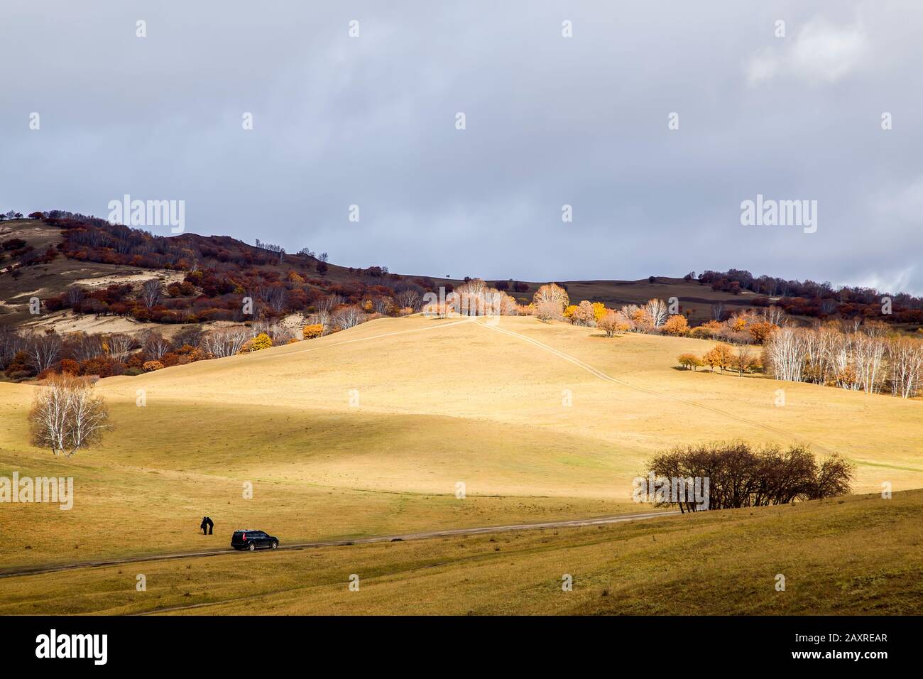 In autumn, trees on the hillside Stock Photo - Alamy
