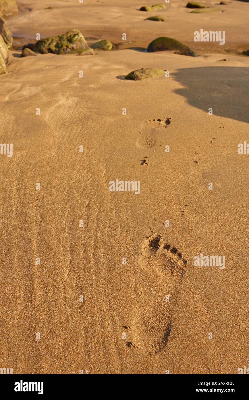 Landscape, footprints, sand, human, Zarautz, Basque Country, Spain ...