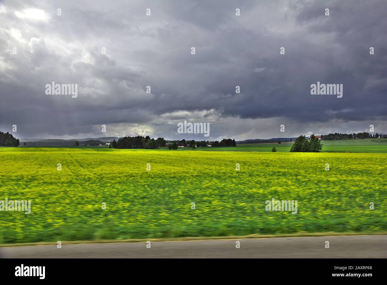 Fields and mountains of Norway Stock Photo - Alamy