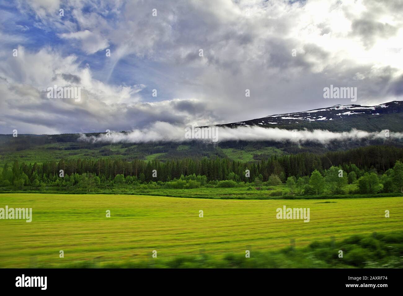 Fields and mountains of Norway Stock Photo - Alamy