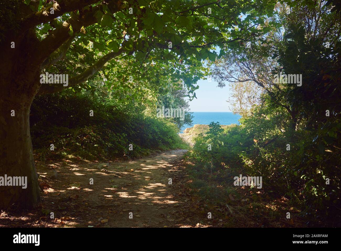 Landscape, hiking trail through the forest at Hondarribia, Basque ...