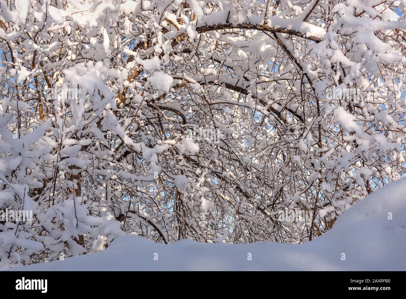 Awesome Winter Wallpapers