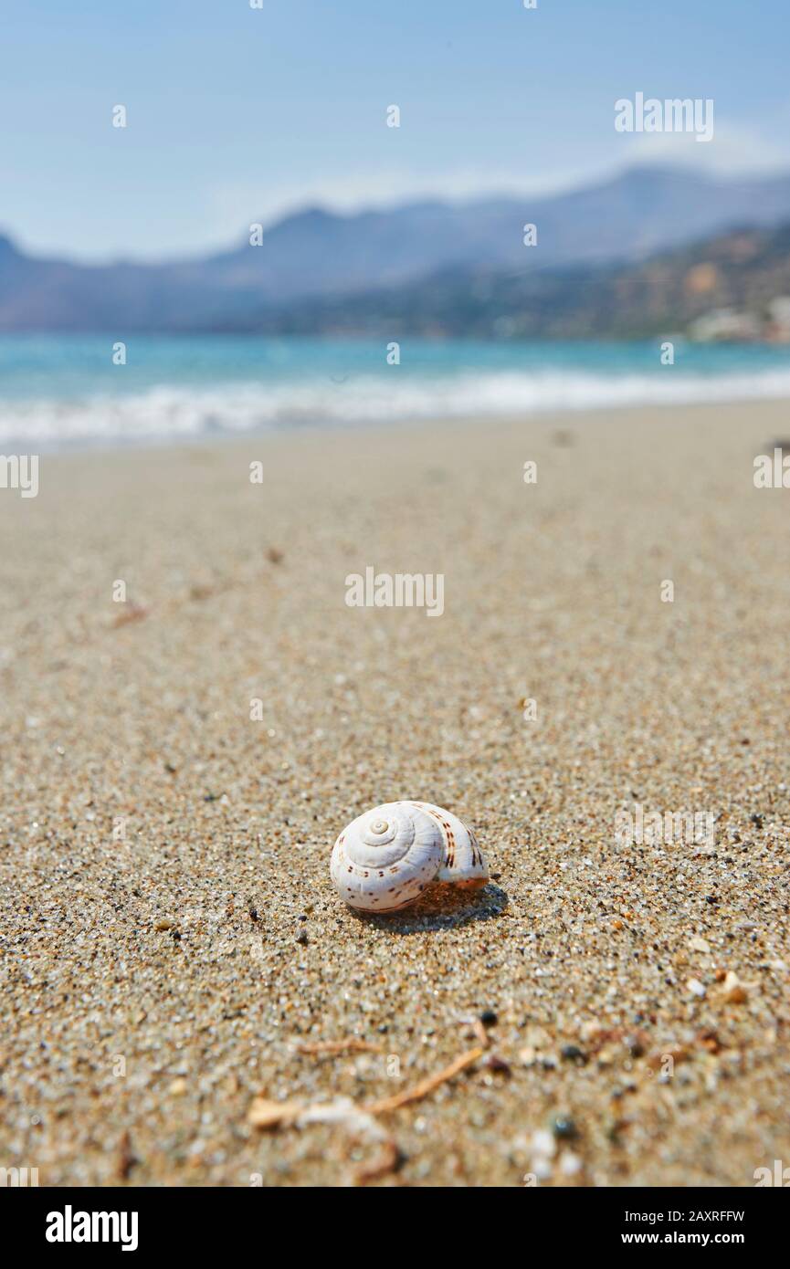 Shell house on the beach of Plakias, Crete, Greece Stock Photo - Alamy