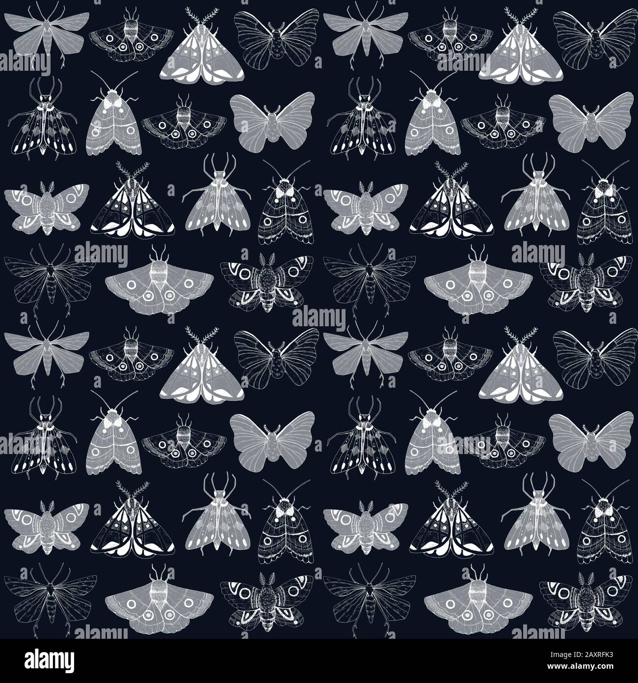 Black and white seamless pattern with white ink moth on dark background ...