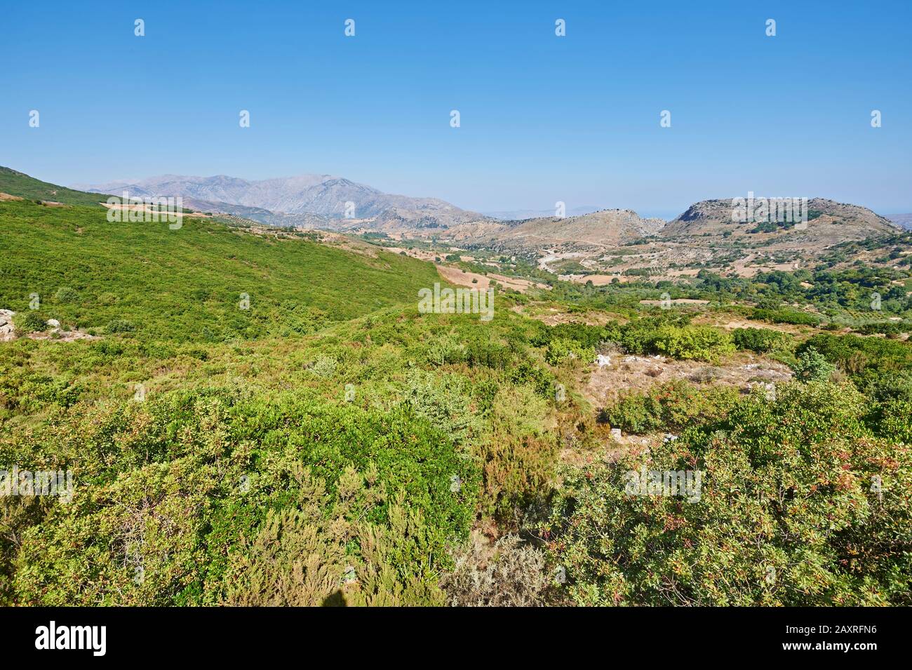 Landscape, vegetation, Crete, Greece Stock Photo - Alamy