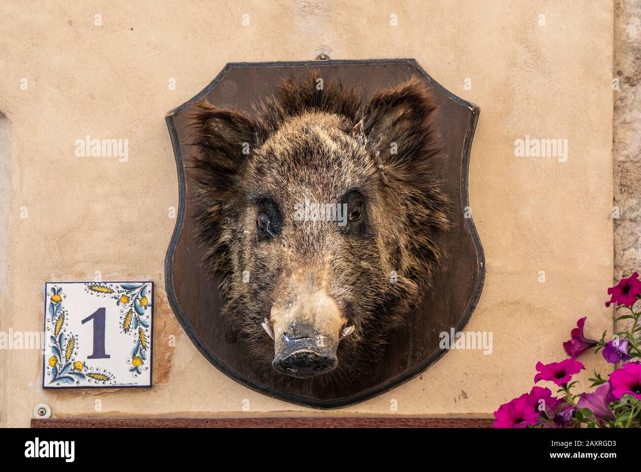 Boars head italy hi-res stock photography and images - Alamy