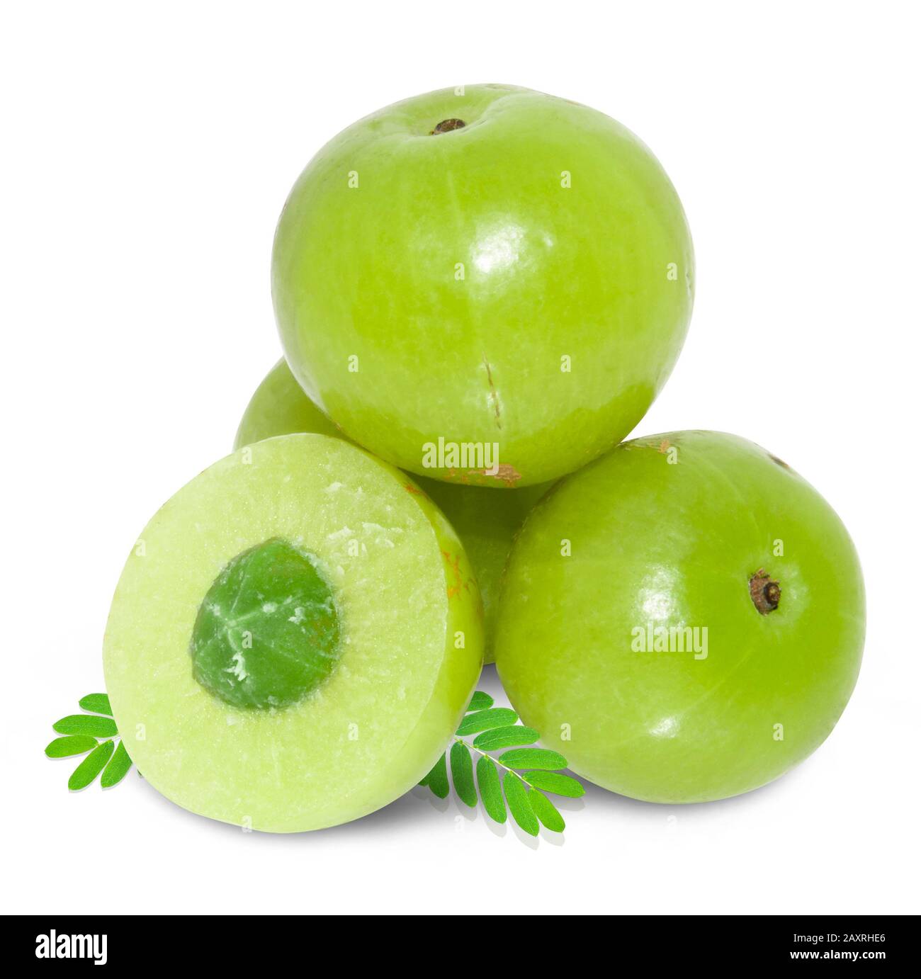 Amla green fruits ,Phyllanthus emblica isolated on white background ...