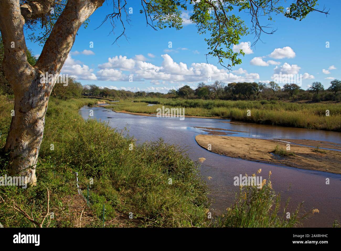 Sabie River at Skukuza in the Krugerpark Stock Photo - Alamy