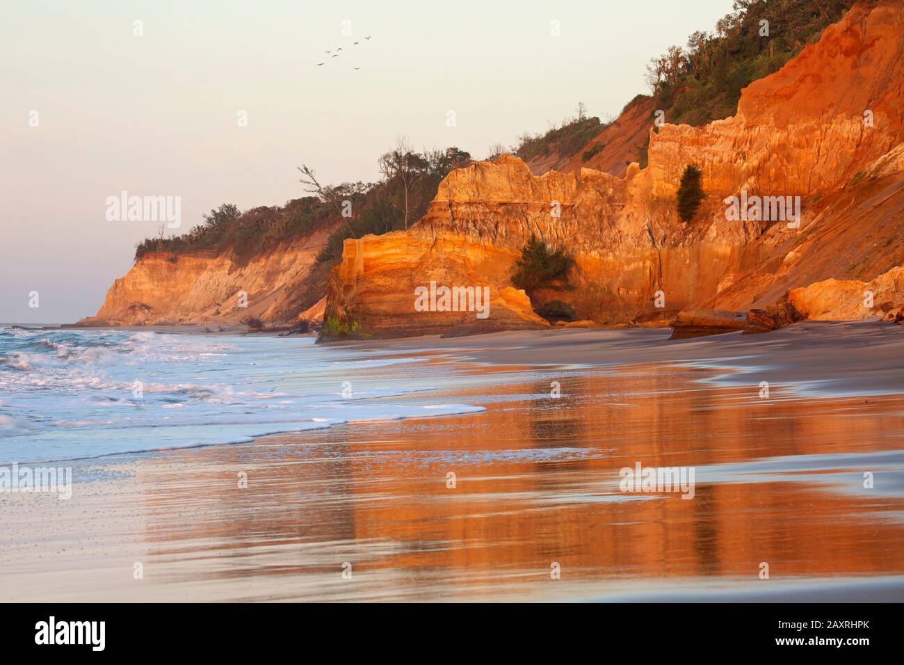 The glowing in the morning light sedimentary rocks on Five Mile Beach ...