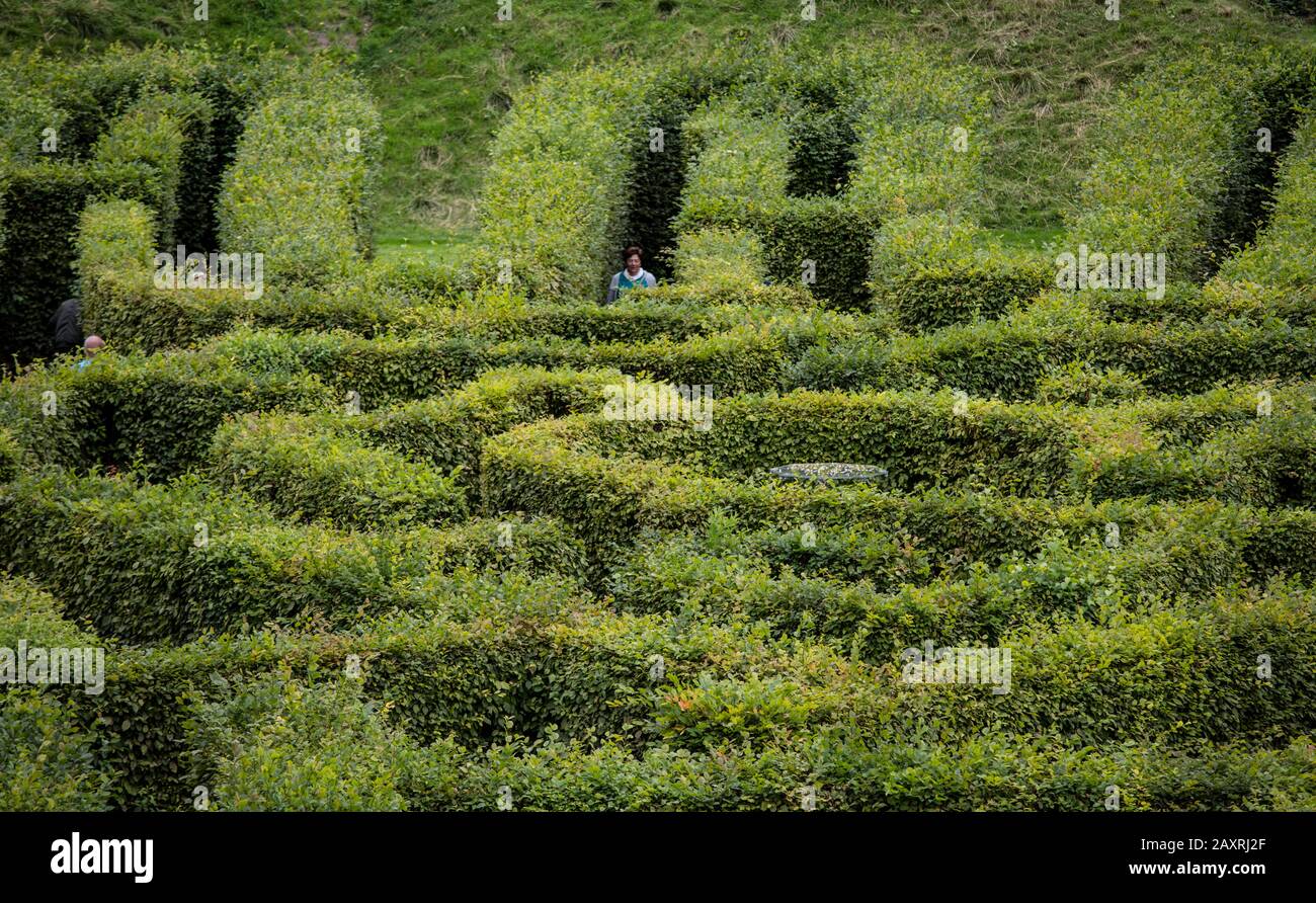 Labyrinth, hedge, open air, Andre Heller, Swarovski Crystal Worlds near ...