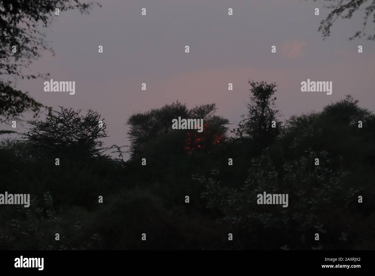 landscape image of sun hide behind of forest trees, sunset images ...