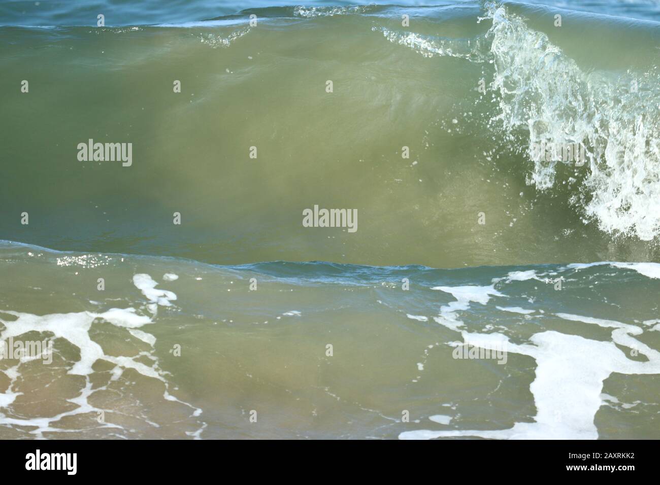 close up of water wave,clear water in beach, salty water background ...