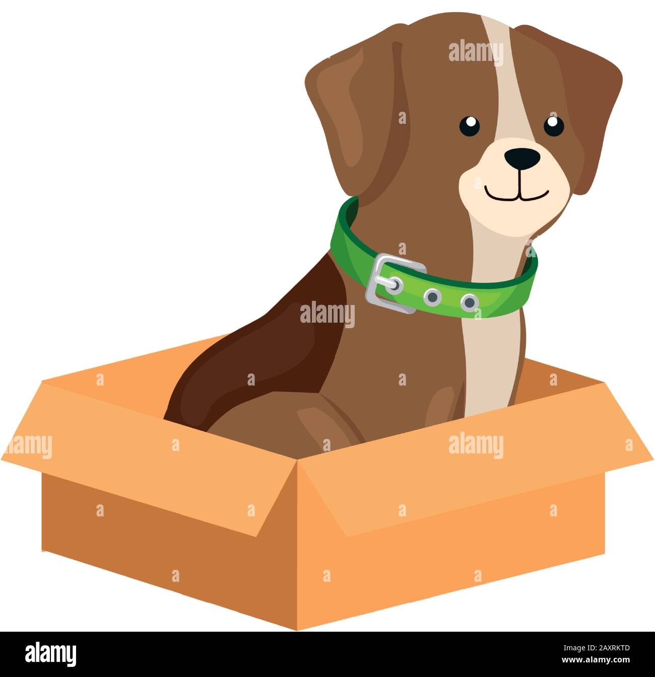 cute dog in box carton isolated icon Stock Vector Image & Art - Alamy