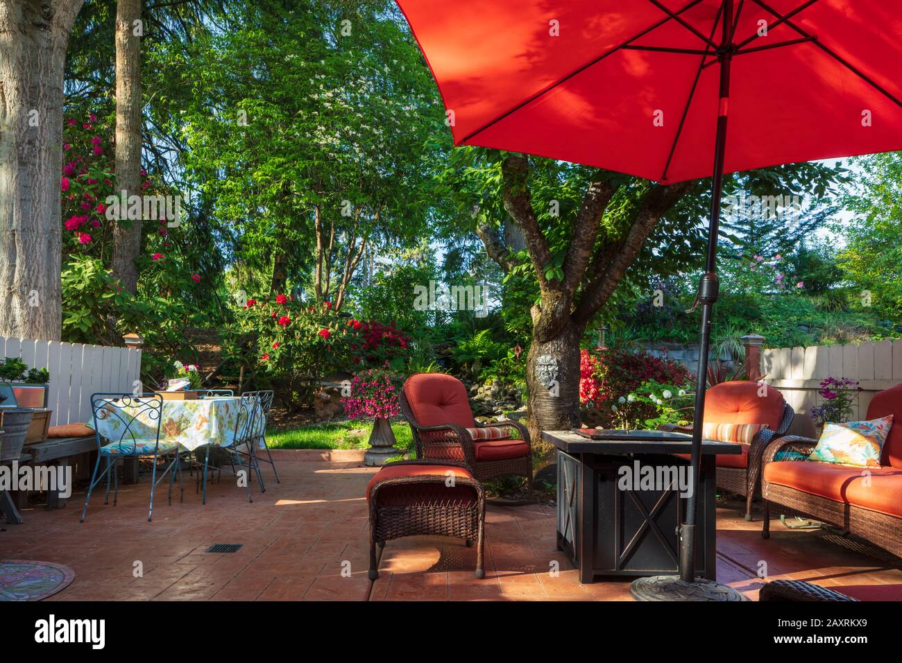 Pacific Northwest backyard in May of 2019 showing rich planting and a ...