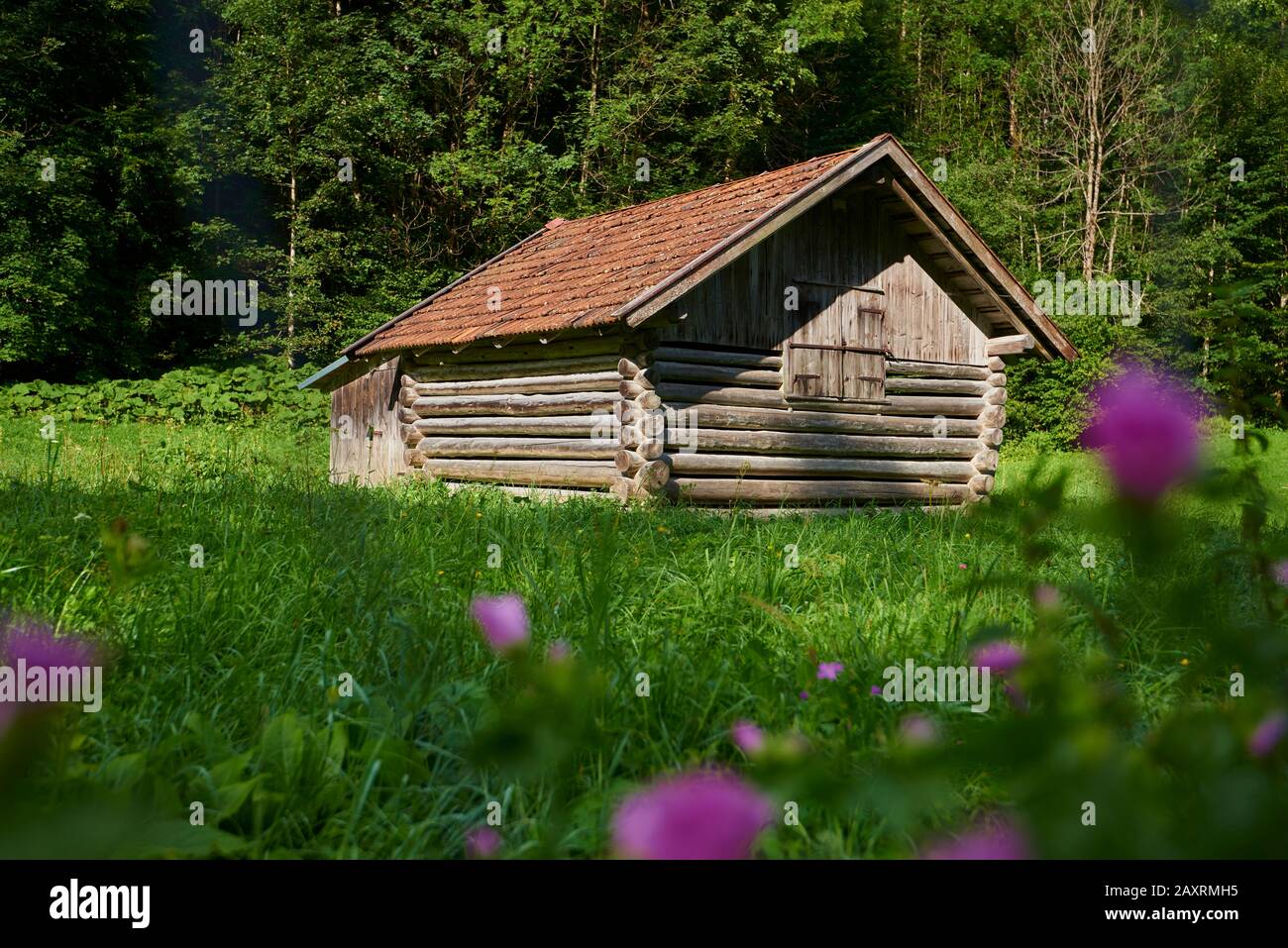 Traditional wooden hut at Partnach gorge in summer, Garmisch ...