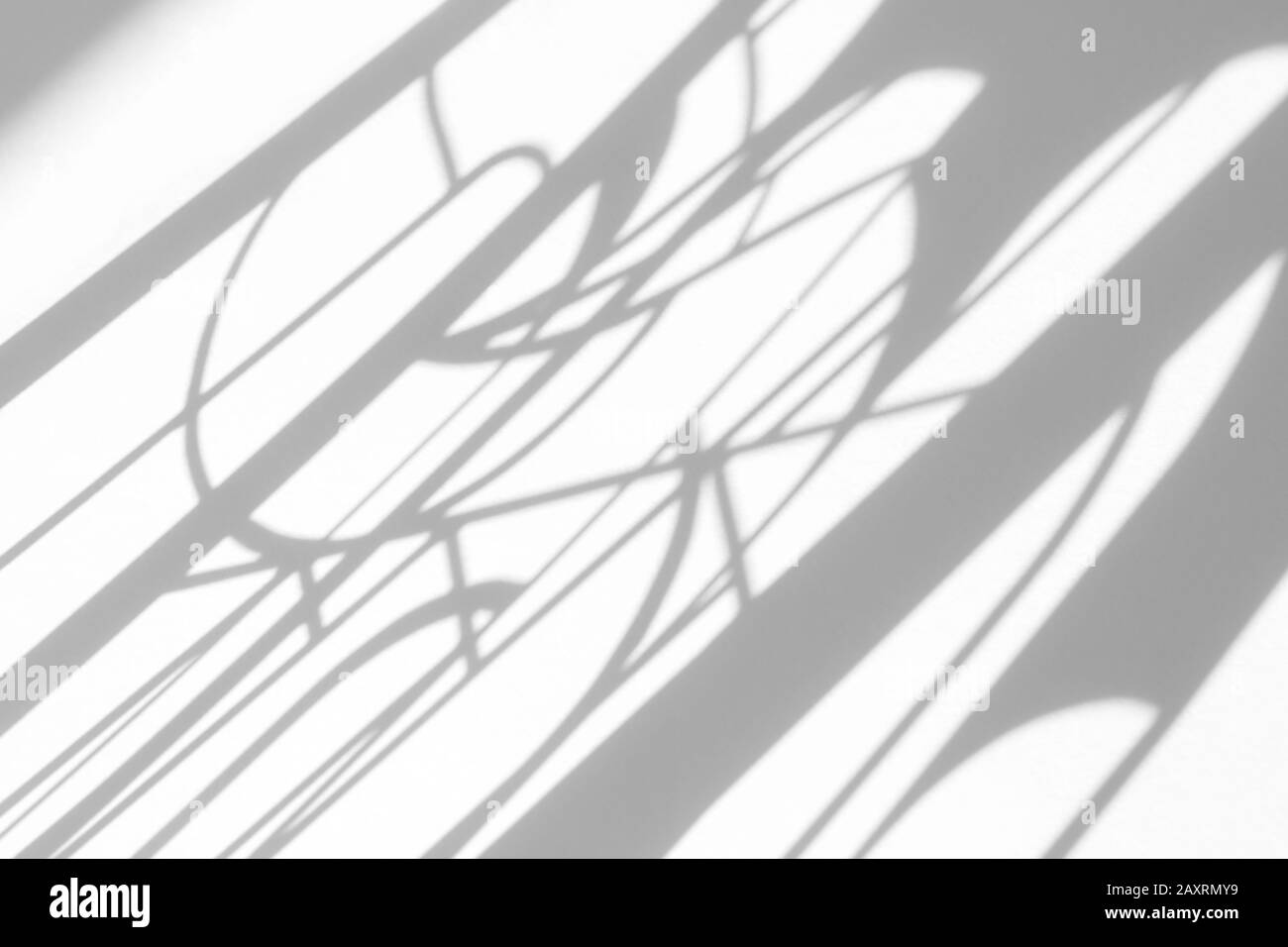 Organic drop shadow on a white wall Stock Photo - Alamy