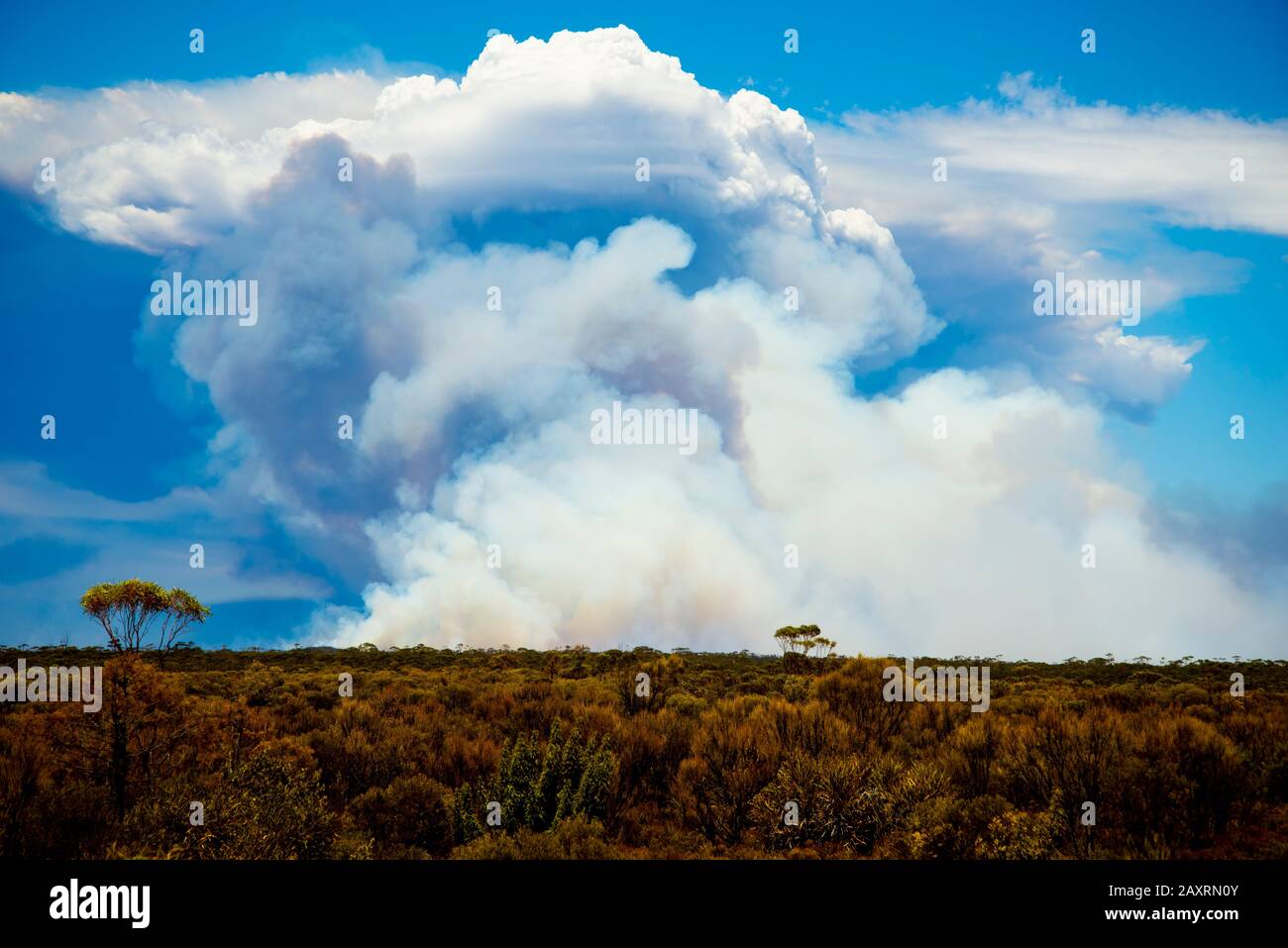 Bushfire outback australia hi-res stock photography and images - Alamy
