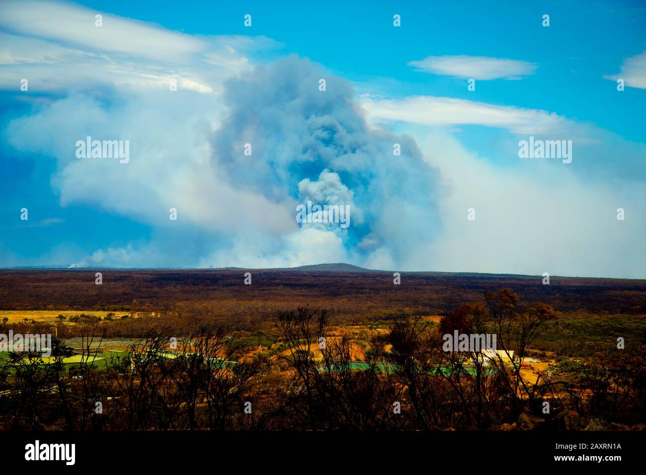 Australia bushfire hi-res stock photography and images - Alamy