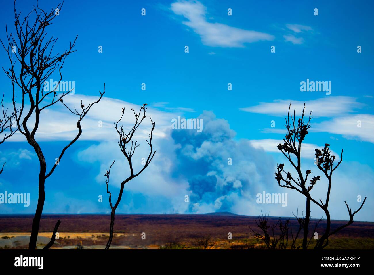 Australia bushfire hi-res stock photography and images - Alamy