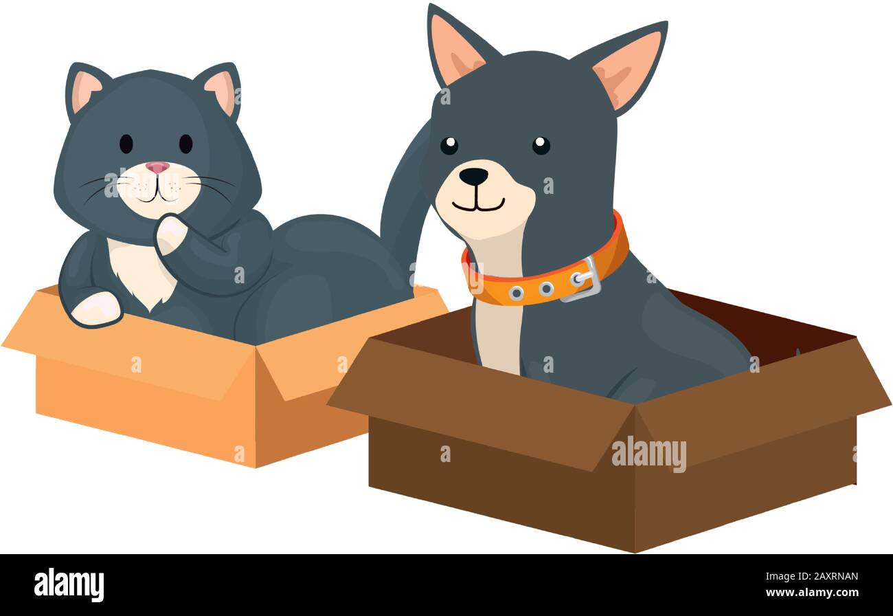 cute cat and dog in boxes carton Stock Vector Image & Art - Alamy