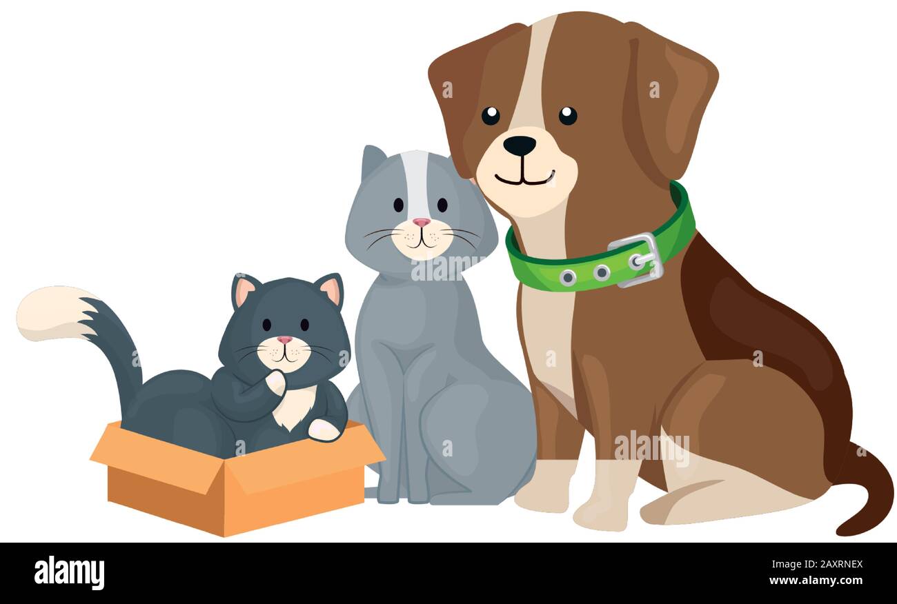cute cats and dog animals with box carton Stock Vector Image & Art - Alamy