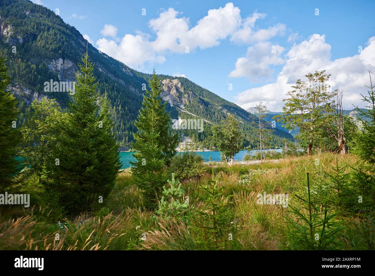 Landscape, Plansee, summer, Tirol, Austria Stock Photo - Alamy