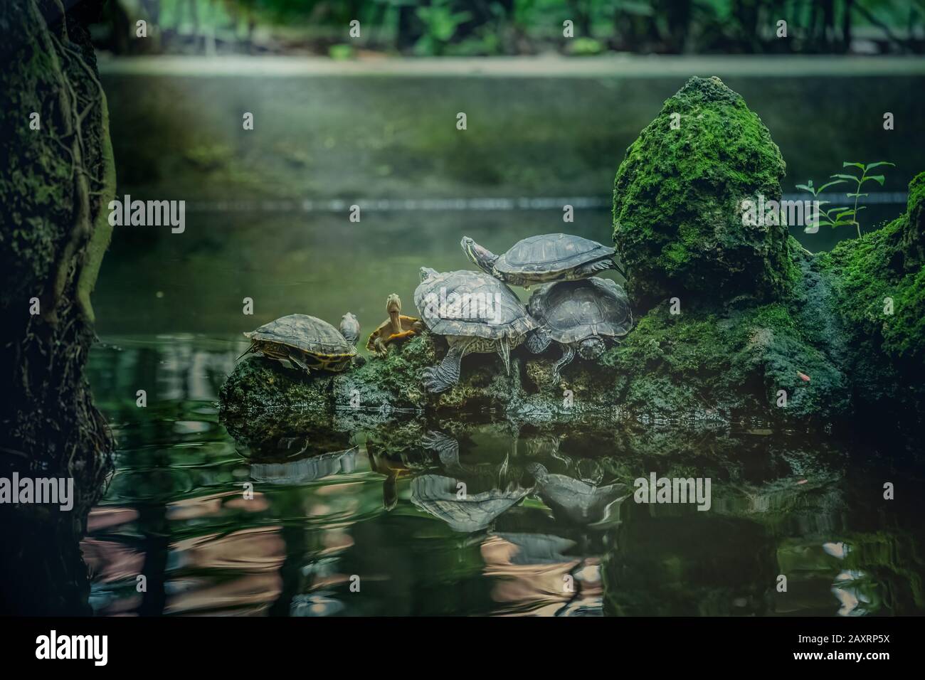 Traditional cottage near a lake hi-res stock photography and images - Alamy