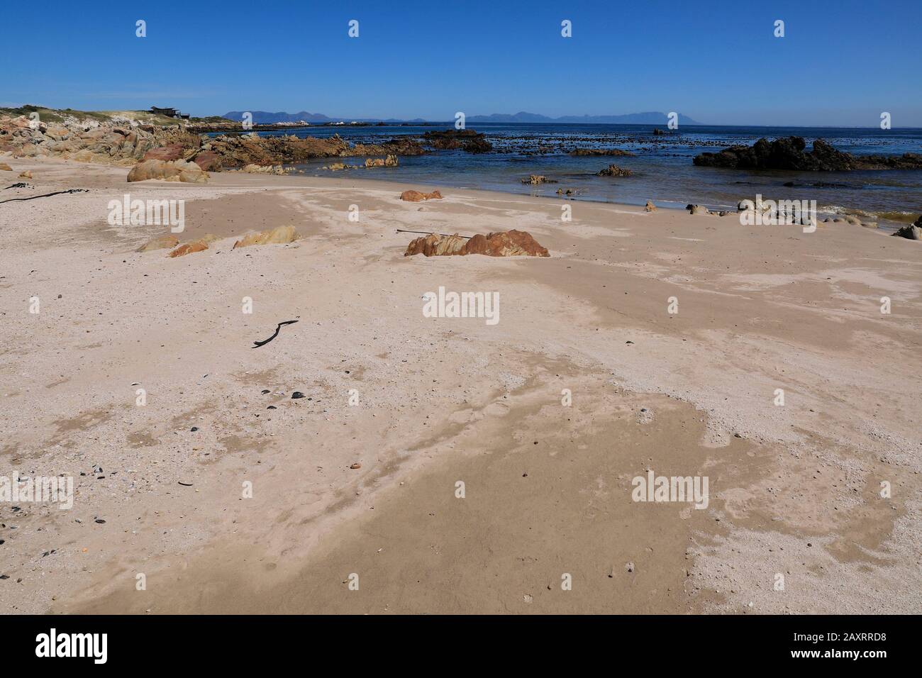 Rooi Els (Rooiels), Western Cape Province, South Africa Stock Photo - Alamy