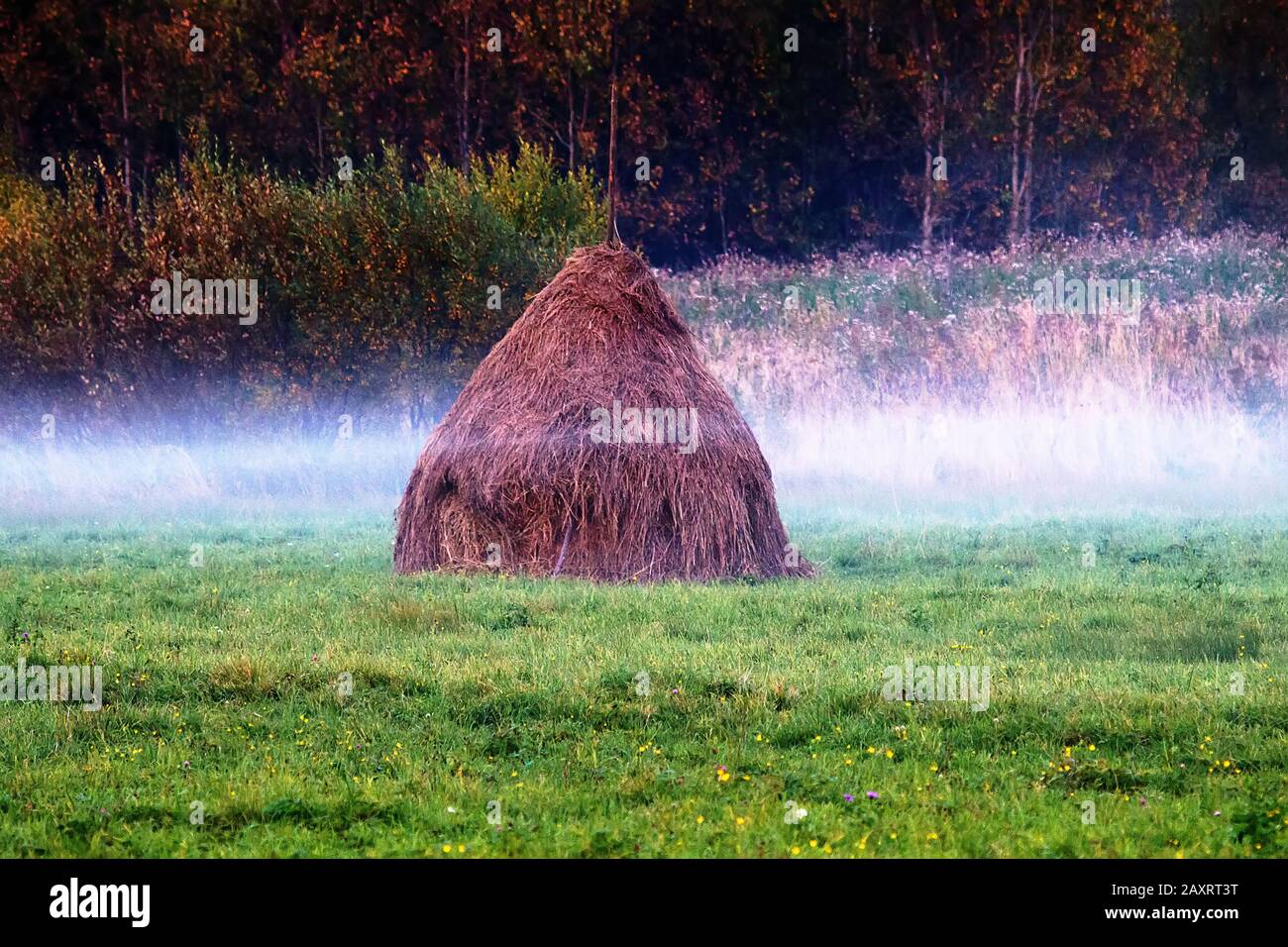 Fields in autumn night hi-res stock photography and images - Alamy