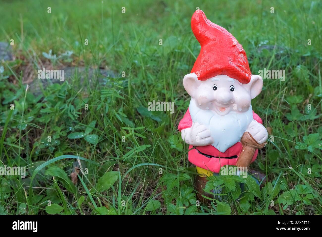 garden dwarf in home garden, gnome decoration Stock Photo - Alamy