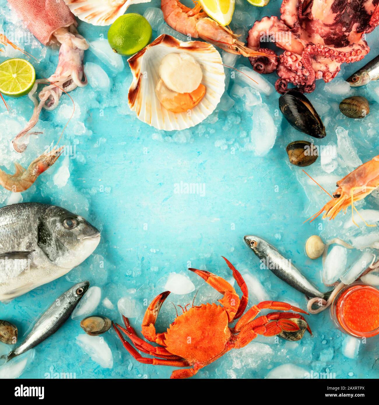 Fish and seafood square frame with a place for text on a blue ...