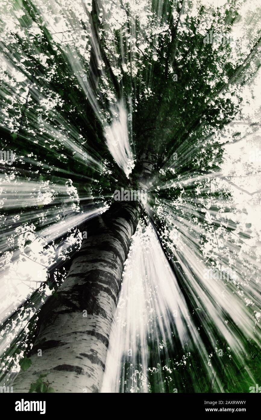 Art full of light hi-res stock photography and images - Alamy