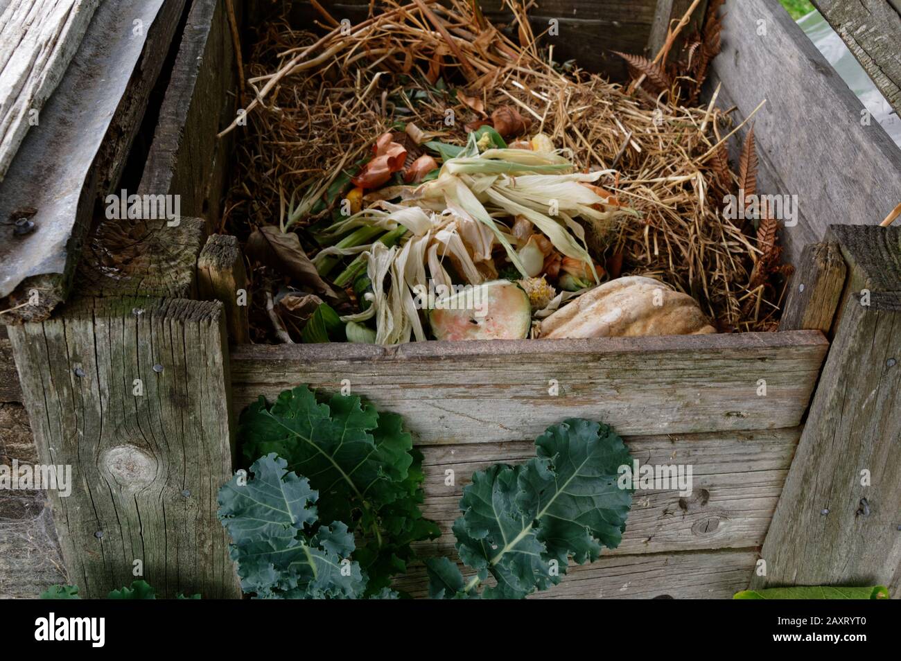 Scraps and plant matter are breaking down in this household compost bin ...