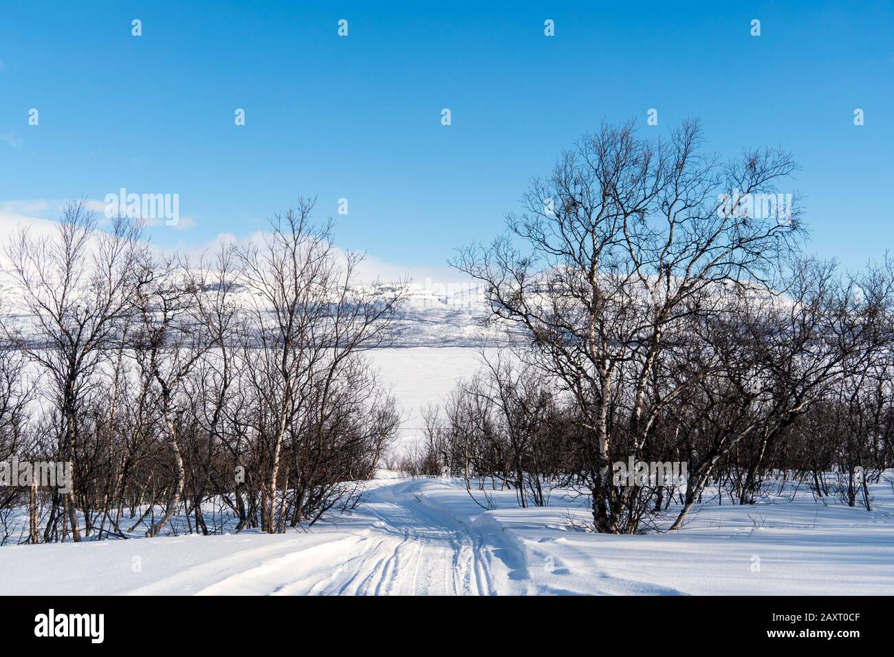 Sweden, Lapland, Abisko, snowmobile trail Stock Photo - Alamy
