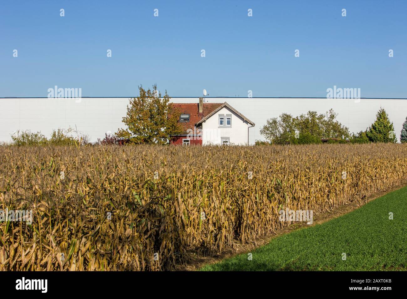 Corn field, one-family house, industrial hall Stock Photo - Alamy