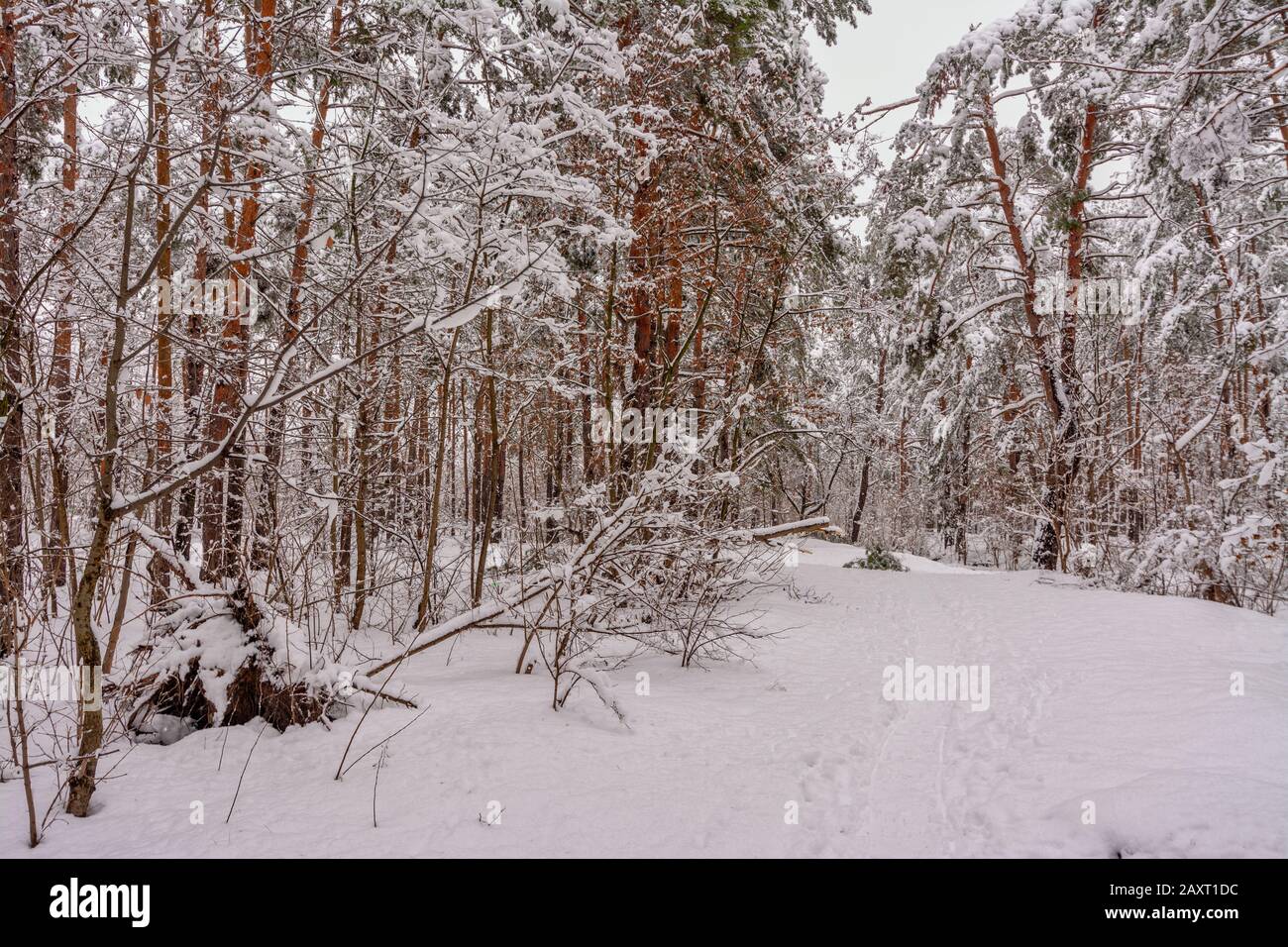Coldly day hi-res stock photography and images - Alamy