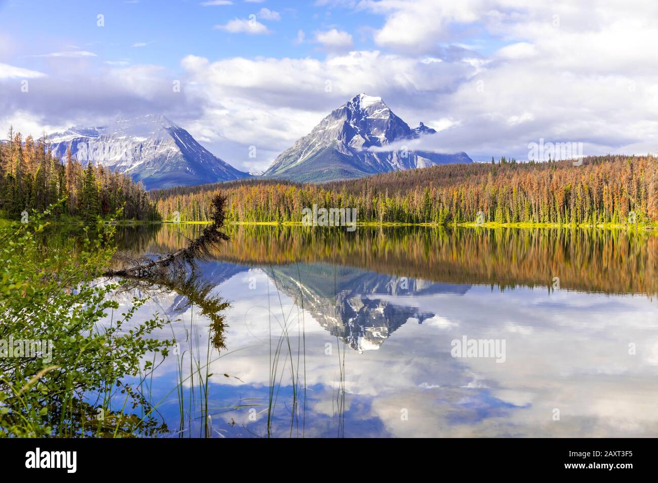 Geraldine Peak reflecting in Leach Lake, Jasper National Park, Canadain ...