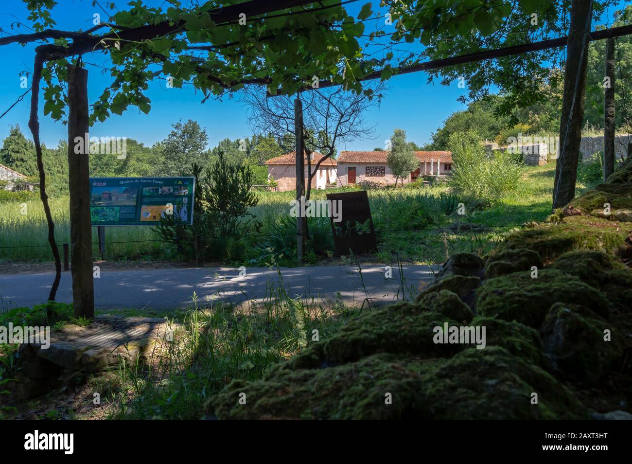 Tusso hi-res stock photography and images - Alamy