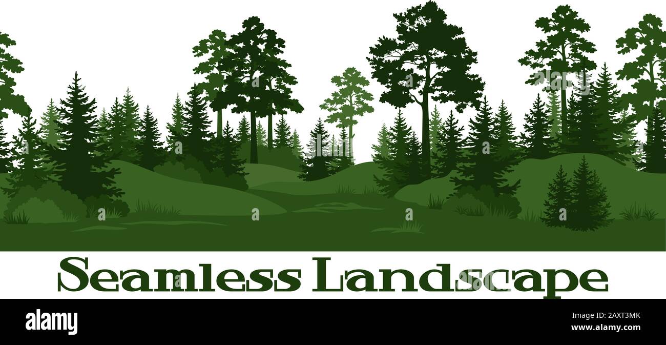 Spruce bush green background Stock Vector Images - Alamy