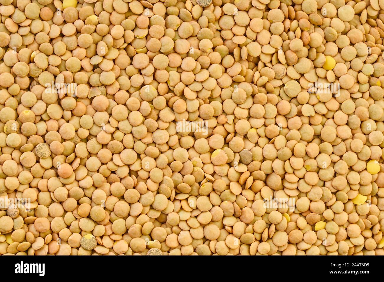 food background texture of lentil grains closeup Stock Photo - Alamy