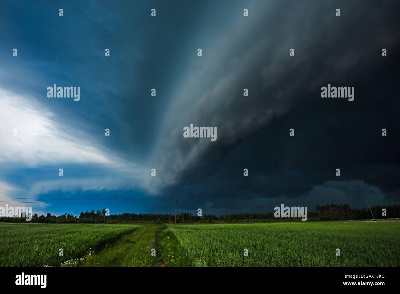Storm clouds with shelf cloud and intense rain Stock Photo - Alamy