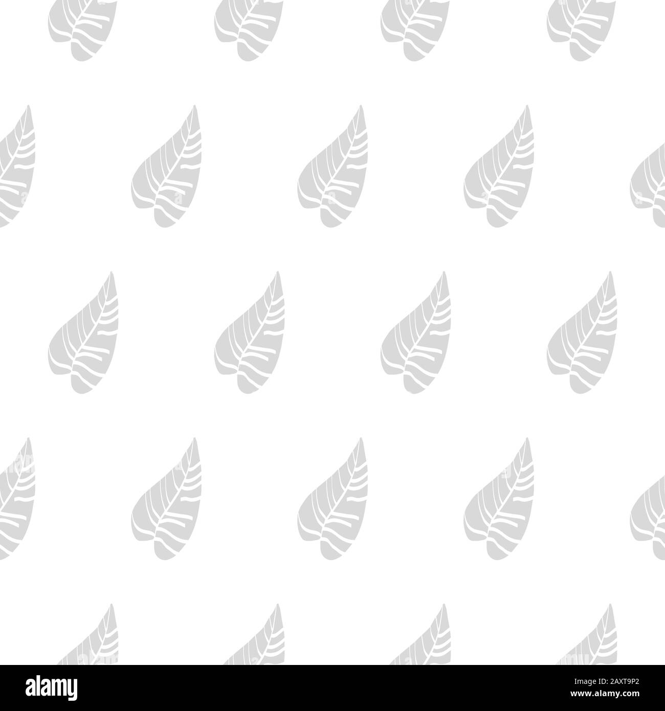 Monstera palm leaves trendy Black and White Stock Photos & Images - Alamy