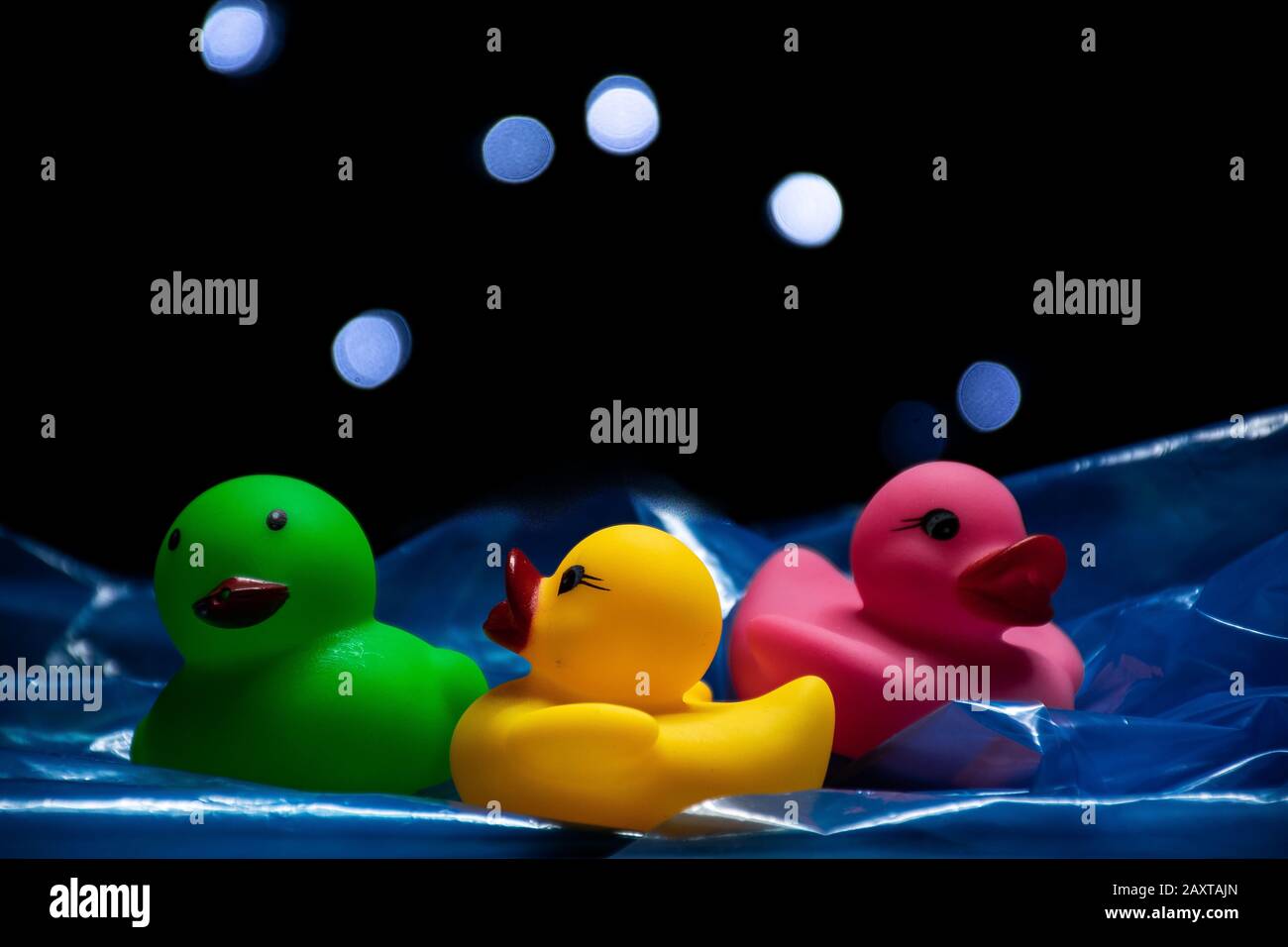 Still Life of Rubber Ducks Stock Photo - Alamy