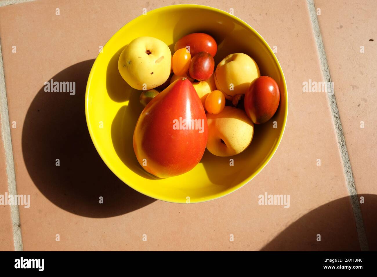 Healthy food based on tomato, cherry anda apple,color red and yellow ...