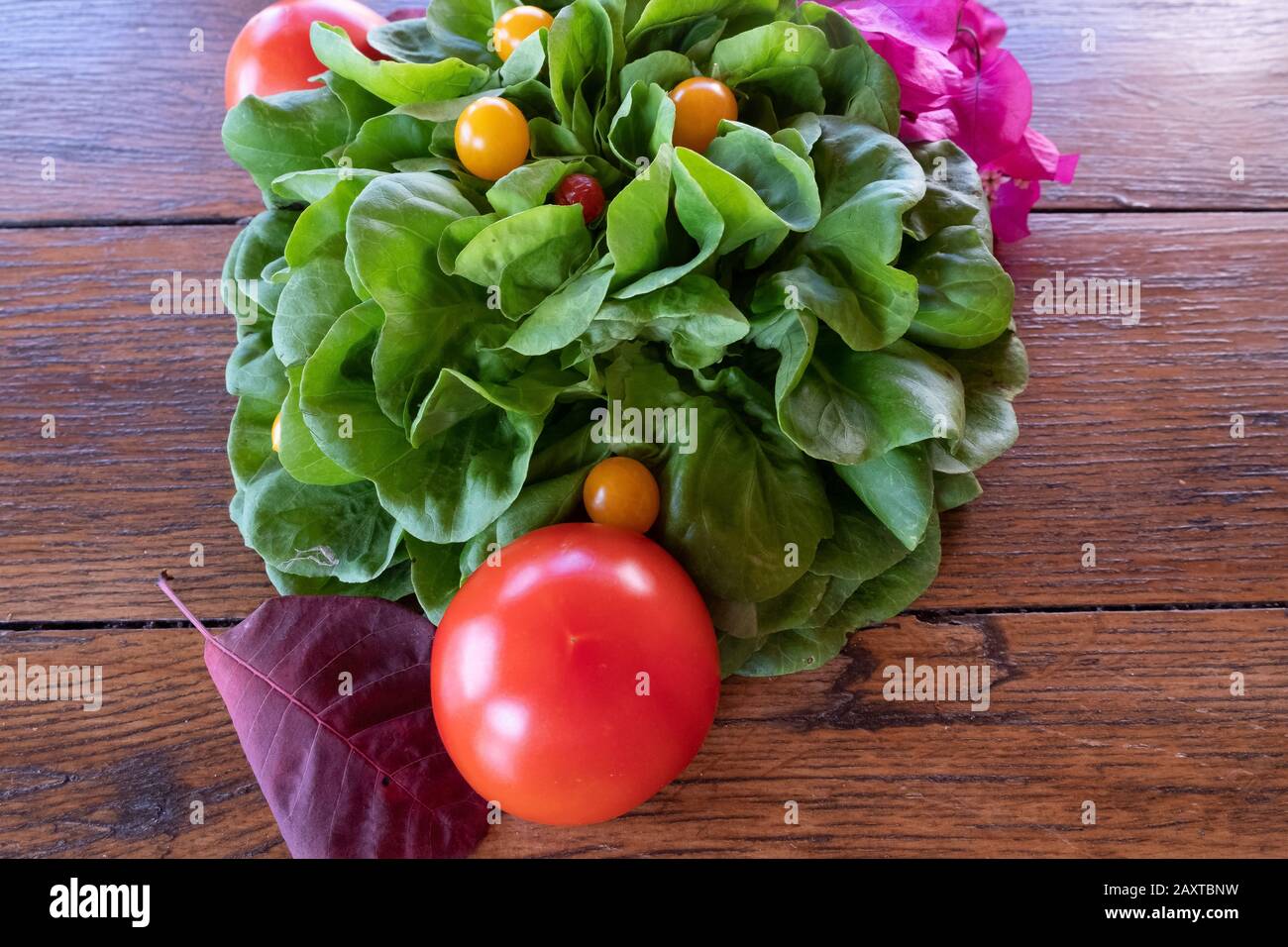 French lettuce, red tomato, cherry tomato, natural food Stock Photo - Alamy